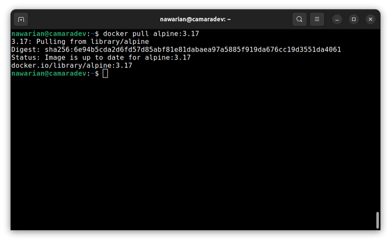 Como rodar um client OpenVPN dentro de um container docker - codamos.com.br