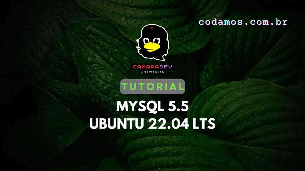 Como instalar o MySQL 5.5 no Ubuntu 22.04 LTS - codamos.com.br
